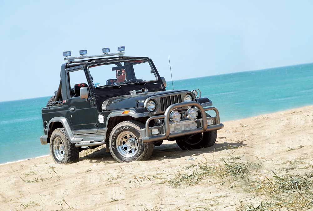 Asia Rocsta 2.2 D 4x4 (61 Hp)